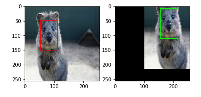 imgaugを使ってPythonで画像増幅を行う | DevelopersIO