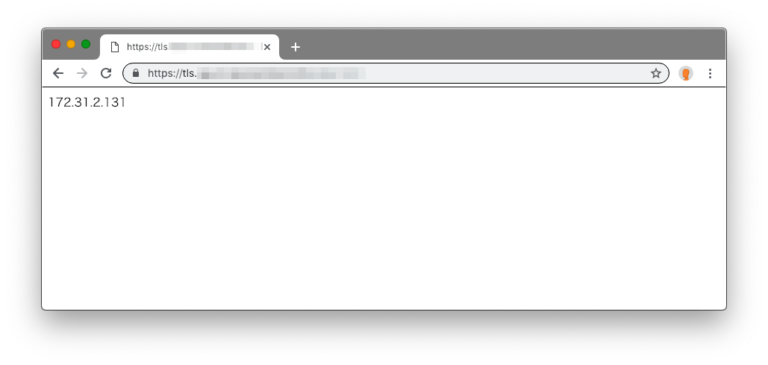 静的なIPアドレスを持つNLBがTLS Terminationに対応してアクセスログも出力可能に！ | DevelopersIO