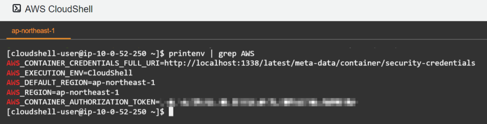AWS_CONTAINER_CREDENTIALS_FULL_URI と AWS_CONTAINER_CREDENTIALS_RELATIVE_URI 環境変数に関する雑記 ...