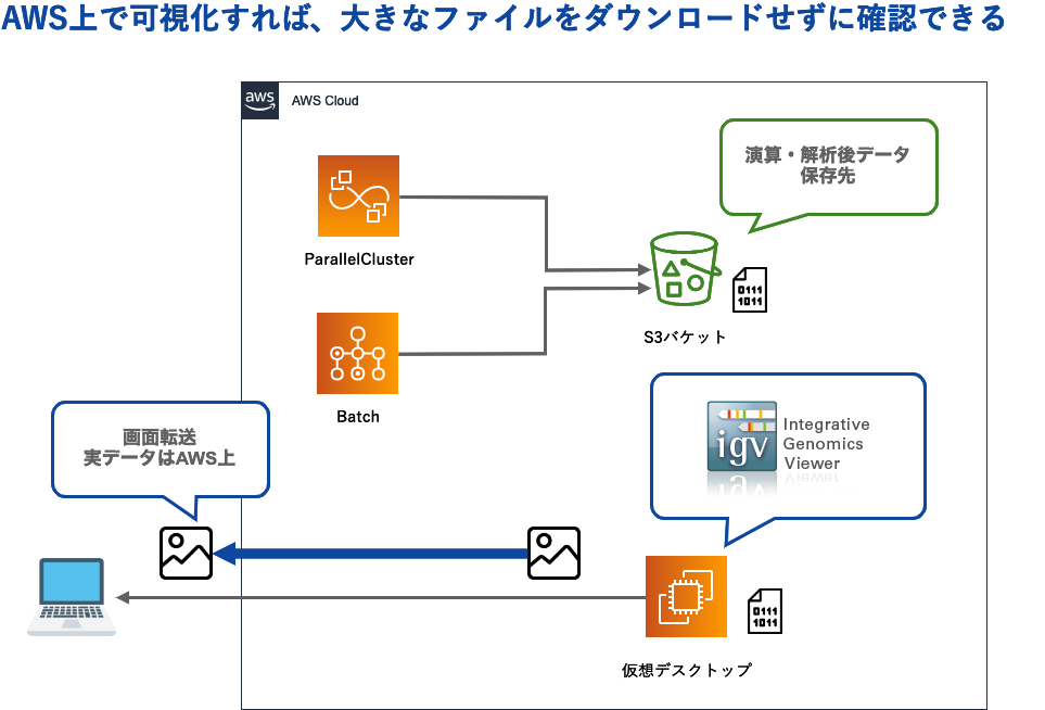 ゲノムブラウザ IGV（Integrative Genomics Viewer）をAWS上に構築しリモート接続して利用してみる ...