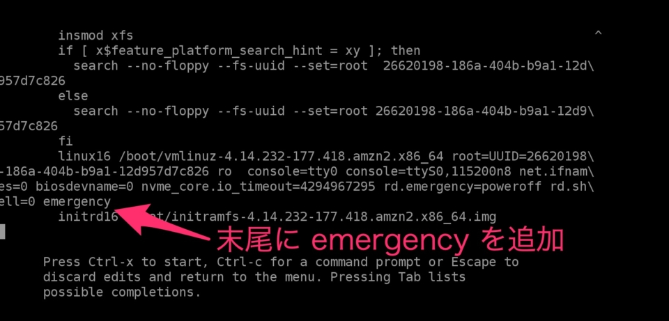 Amazon Linux 2 で「rm -rf /*」を実行してみた | DevelopersIO