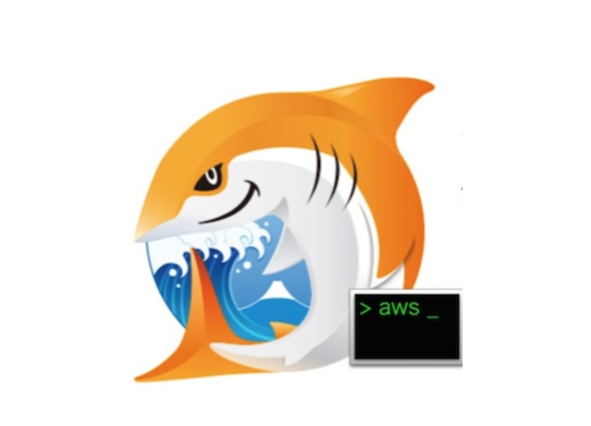 [登壇レポート] 「JAWS-UG CLI専門支部 #233R Route53入門」でLT登壇をしました | DevelopersIO