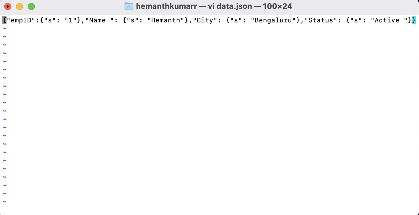 Creating Json Formatted Data File Using Dynamodb And Vi Editor Developersio