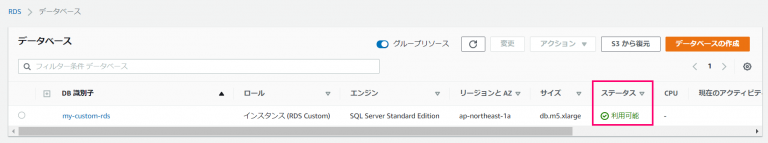 Amazon RDS Custom for SQL Serverを試してみた #reinvent | DevelopersIO