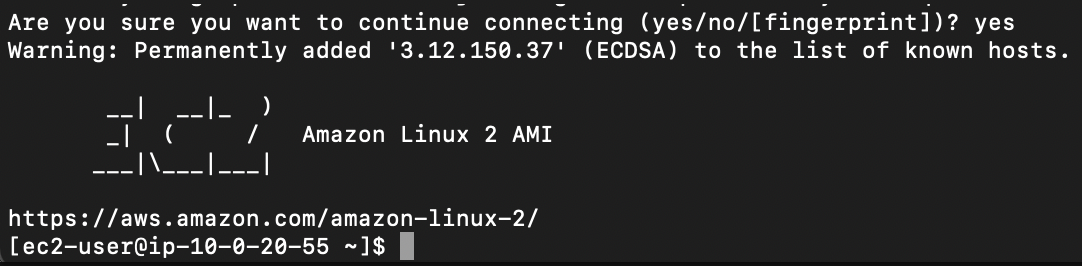 EC2 Bastion Host를 통해 Private Subnet EC2에 접속 | DevelopersIO