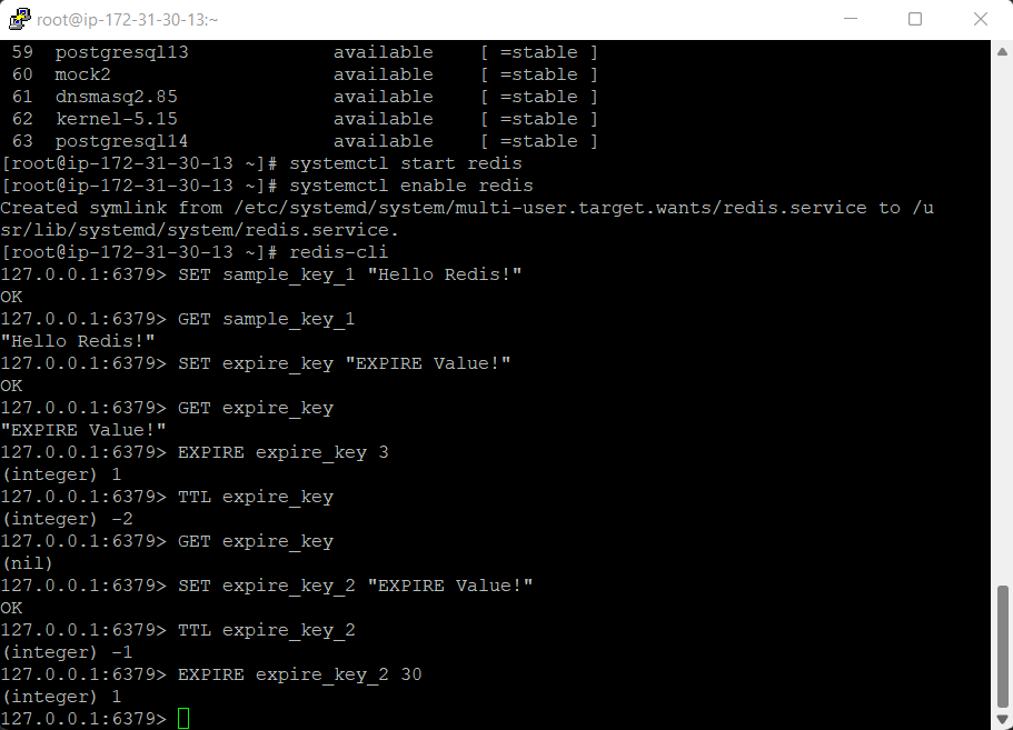 การติดตั้ง Redis ลงใน Amazon Linux 2 (EC2) | DevelopersIO