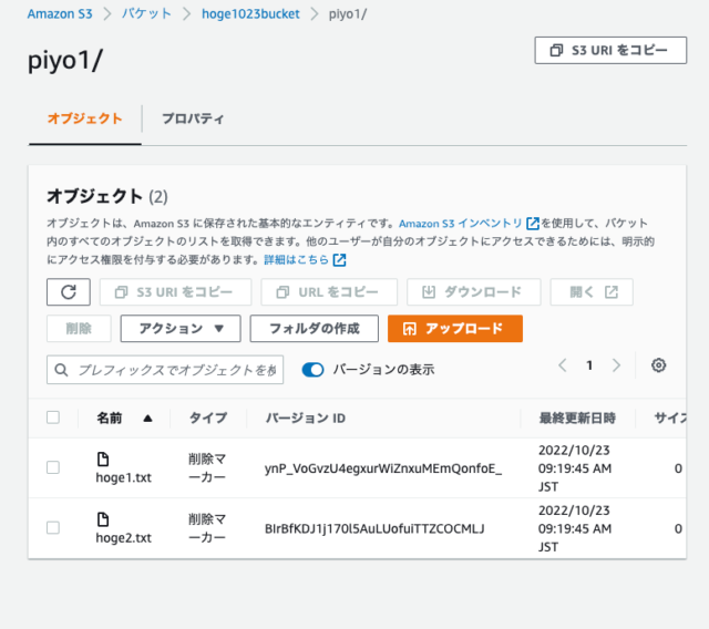 AWS CLI を使ってバージョニングが有効化された Amazon S3 バケットを空にしてみた | DevelopersIO