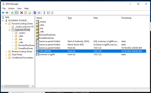 [Amazon FSx for NetApp ONTAP] ワークグループのCIFSサーバーをドメイン参加させてみた | DevelopersIO