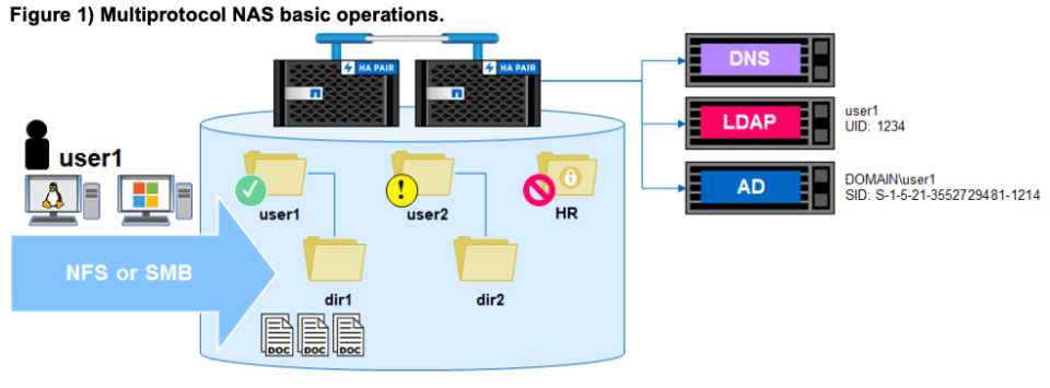 [Amazon FSx for NetApp ONTAP] マルチプロトコルで同じファイルにアクセスできるように設定してみた | DevelopersIO
