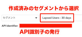 BrazeのAPI連携や検証で使う開発者コンソールの紹介！ | DevelopersIO