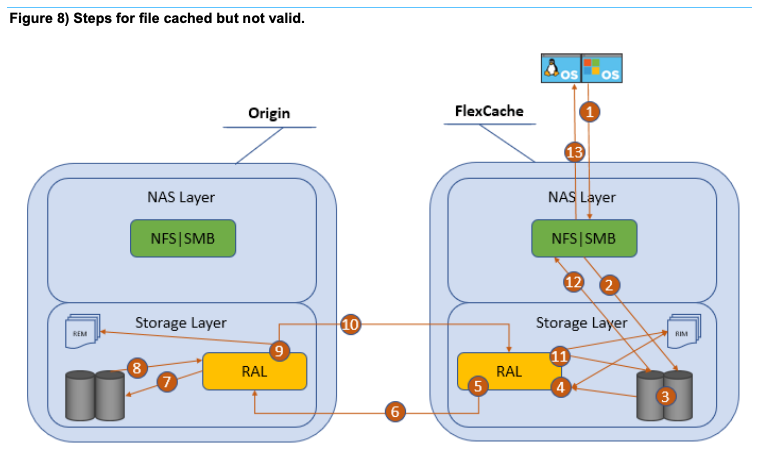 [Amazon FSx for NetApp ONTAP] FlexCacheを試してみた | DevelopersIO