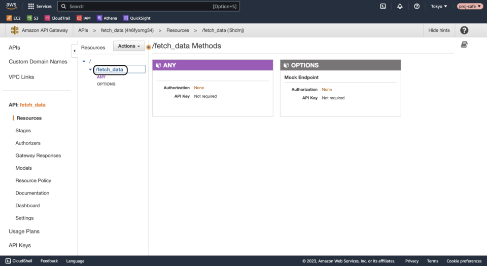 How to Solve the CORS Error: Access-Control-Allow-Origin when trying to fetch data from API ...