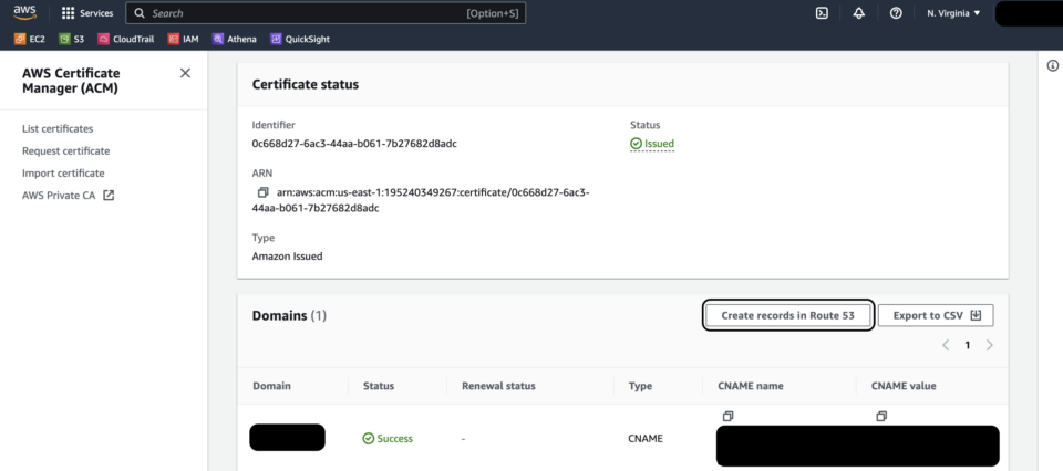 I Registered a domain through Route 53 and routed traffic from it to Cloudfront distribution ...