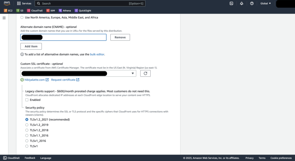 I Registered a domain through Route 53 and routed traffic from it to Cloudfront distribution ...