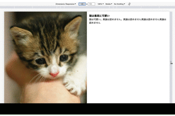 Next.js の Image コンポーネントの使い方をまとめてみた | DevelopersIO